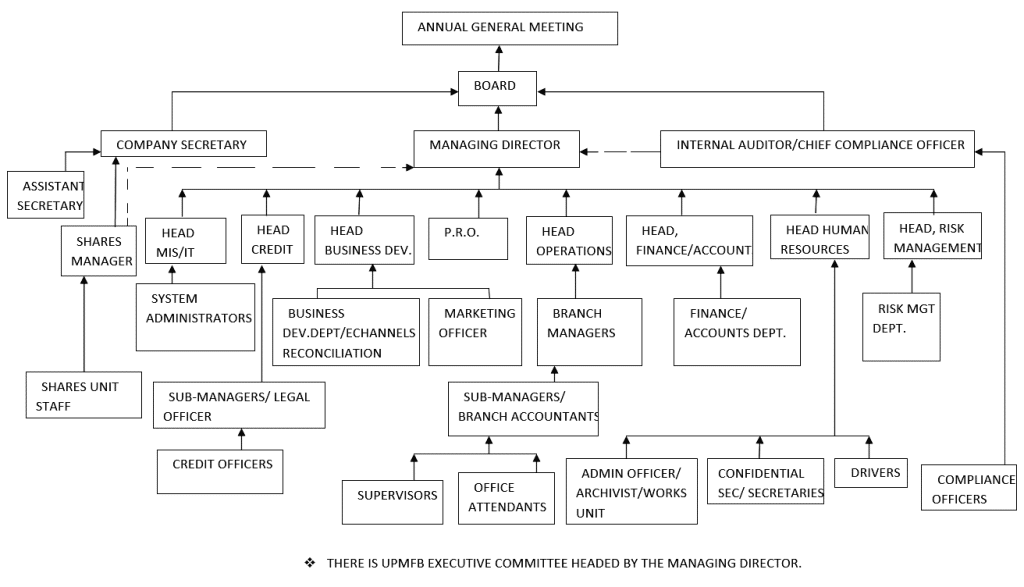 Organization Chart – Umuchinemere Microfinance Bank